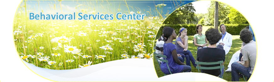 Behavioral Services Center - Treatment Center Costs